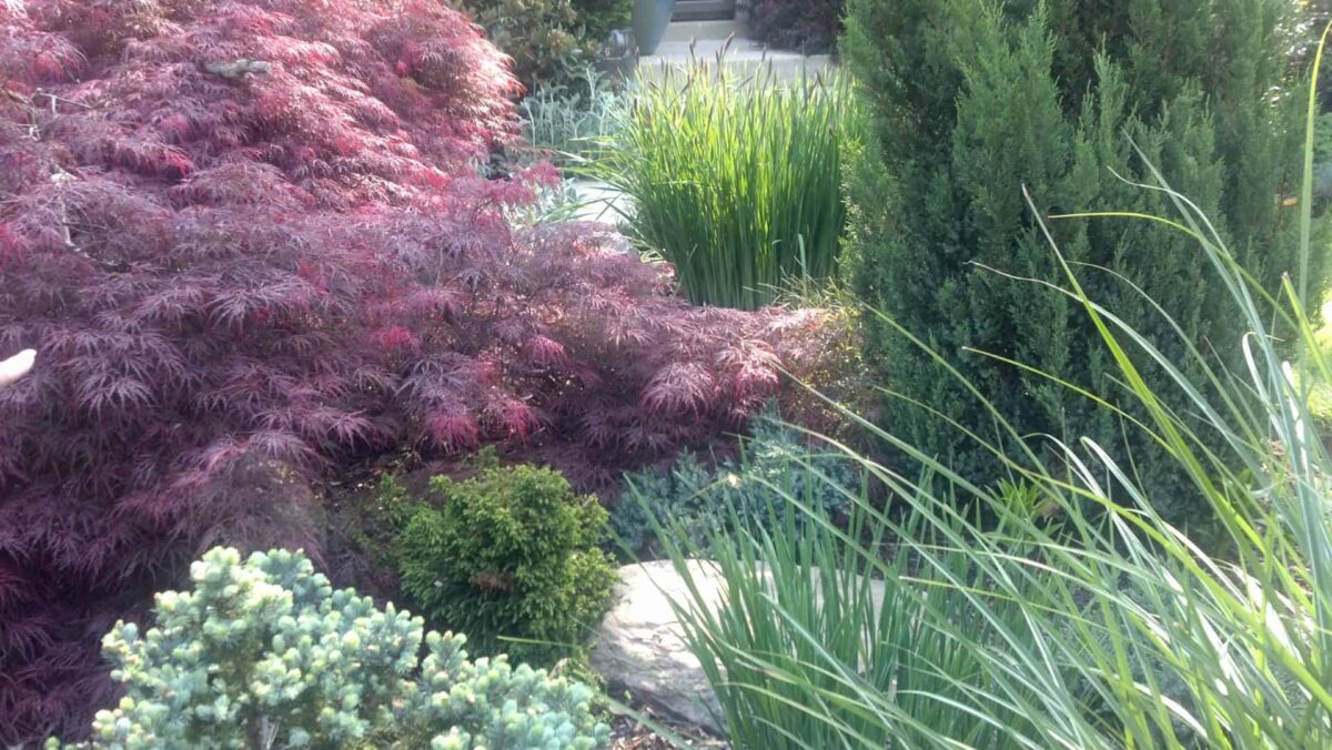 Rivas Design Home - Rivas Design and Landscaping