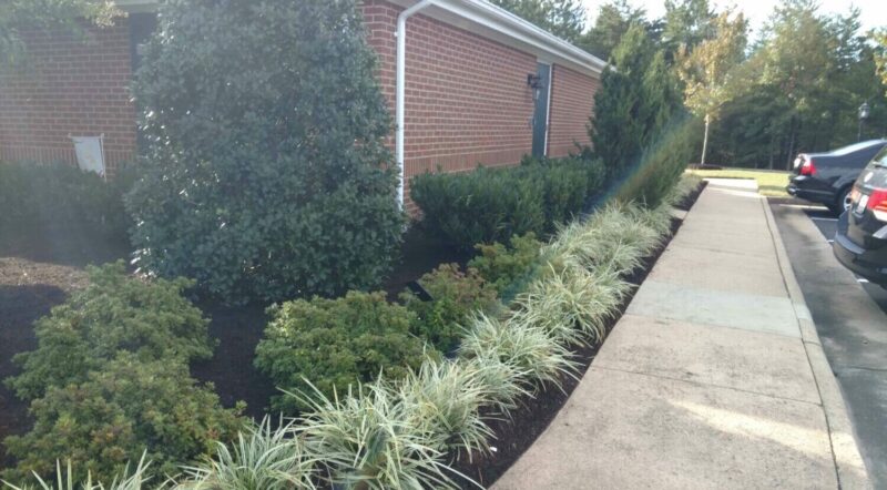 Rivas Design Home - Rivas Design and Landscaping