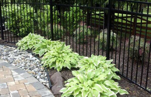 Rivas Design Home - Rivas Design and Landscaping
